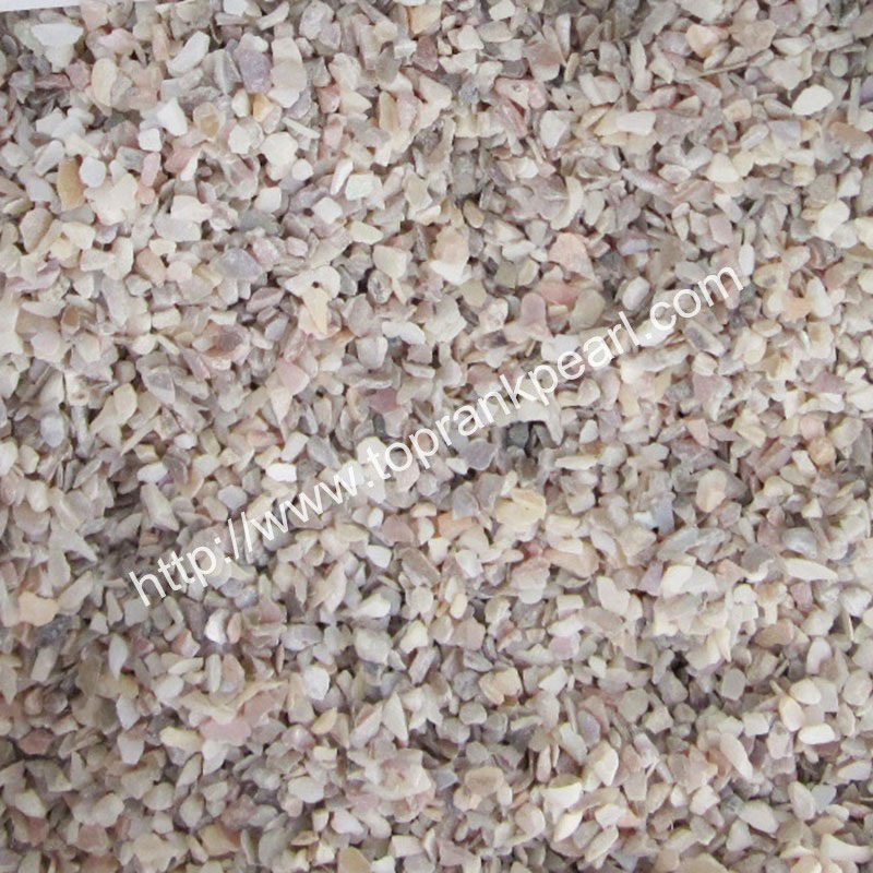 Shell chips - China Top Rank Pearl Industrial Co.,Ltd