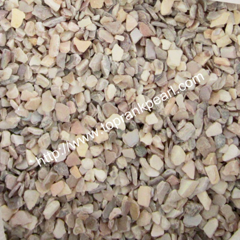 Shell chips - China Top Rank Pearl Industrial Co.,Ltd