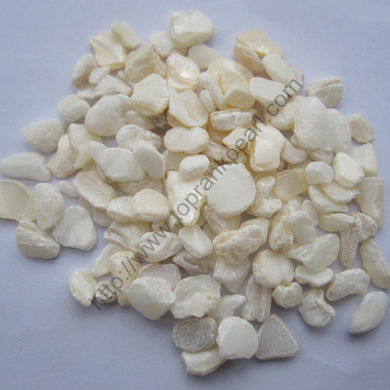Shell chips - China Top Rank Pearl Industrial Co.,Ltd